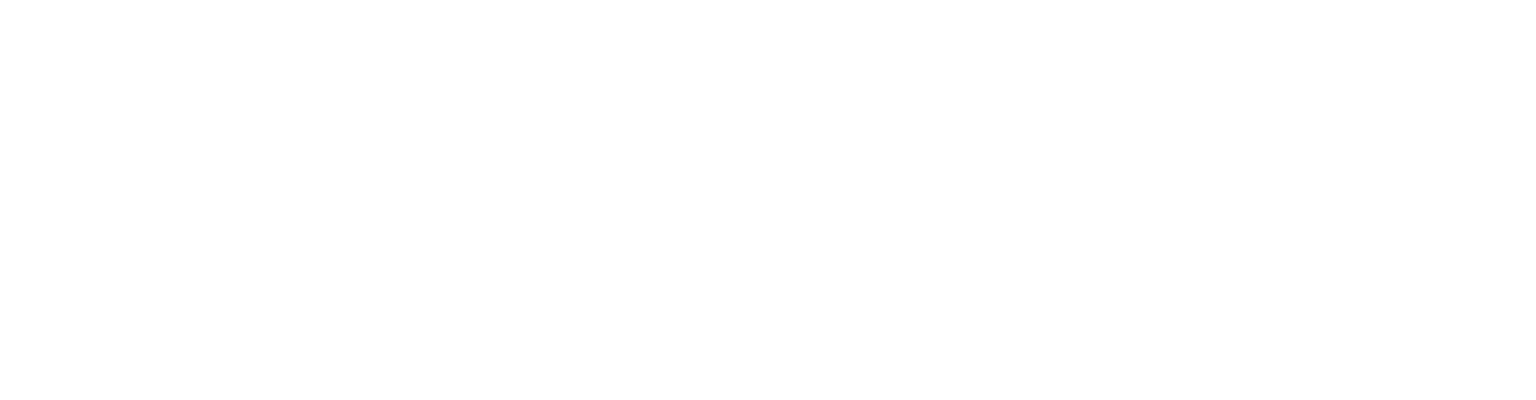 Our Store - Bass Mob Entertainment